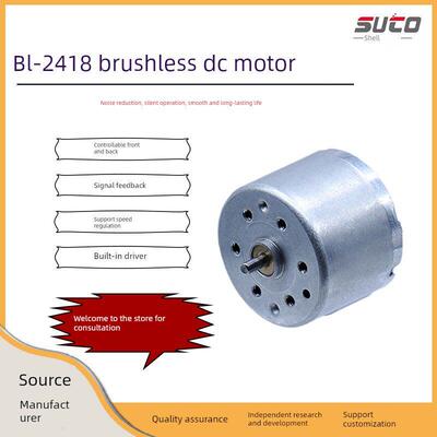 Bl2418微型直流无刷减速电机12V24V可正反调速高速320小电机