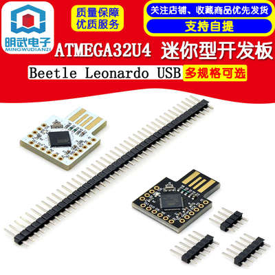 Beetle Leonardo USB ATMEGA32U4 迷你型开发板