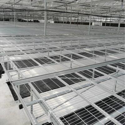 移动苗床温室大可移动育种苗床植物花网卉无土AGB棚栽培镀锌架片