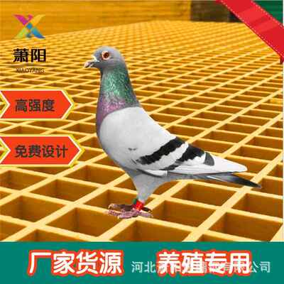 厂直销玻璃钢栅家光伏道洗车房地LVT方格城市格绿化走树池篦子板
