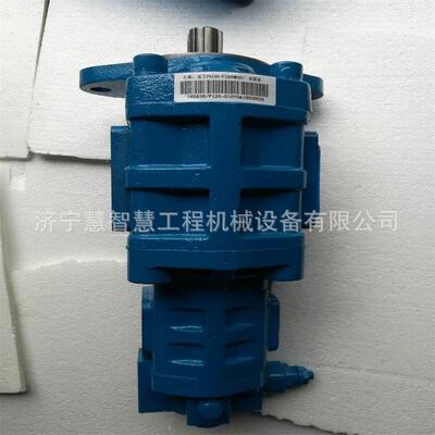 特惠供应宣工165-2推土机双联泵1V10043（5100各种泵 宣化配件