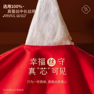 真正丝被四x季通用结蚕婚陪嫁喜被芯150子200天然春秋棉被冬被CSB