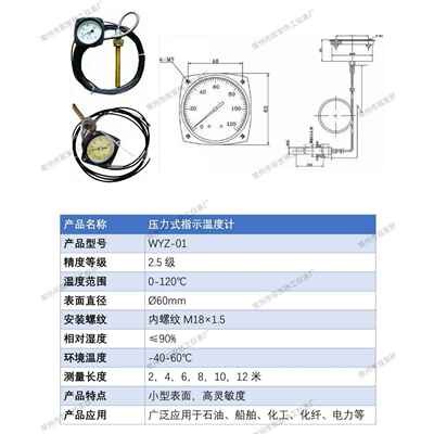 双发WTZ-01/078压力式温度计锅炉温度计管道温度计遥测温度计