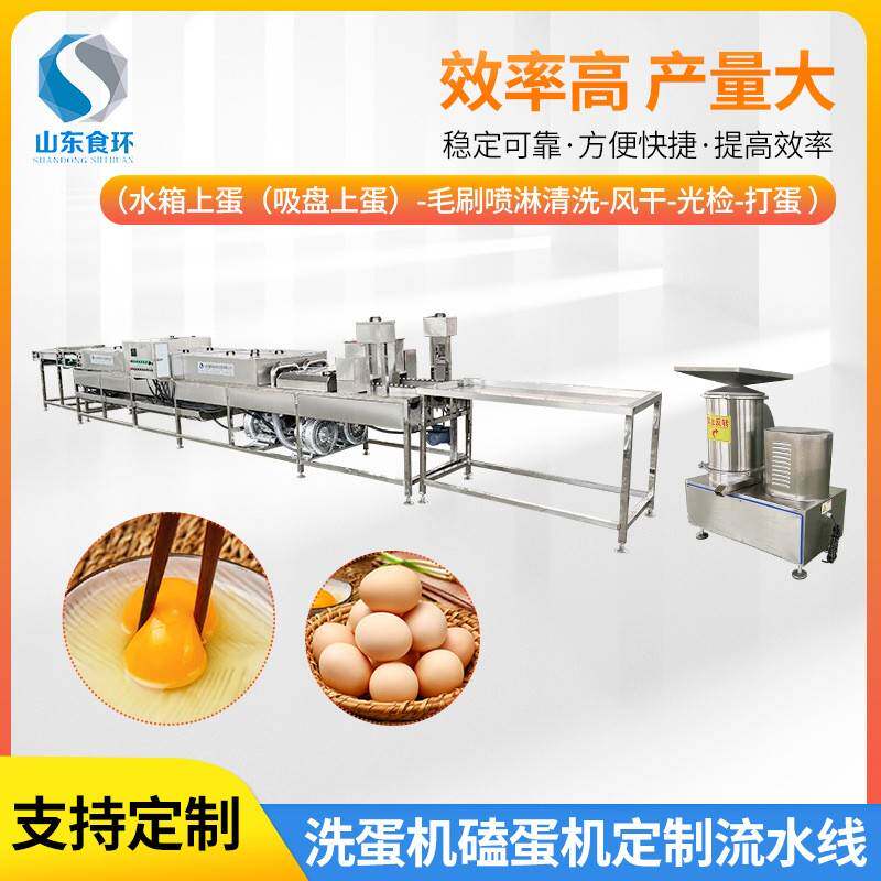 全自动蛋类清洗机打蛋洗蛋机磕蛋流水线保洁蛋咸鸭蛋鸡蛋清洗机