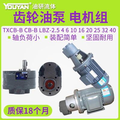 TXCB液压LBZ50立80卧63式CBW齿轮100油泵CB-B10/16/20/40电机组25