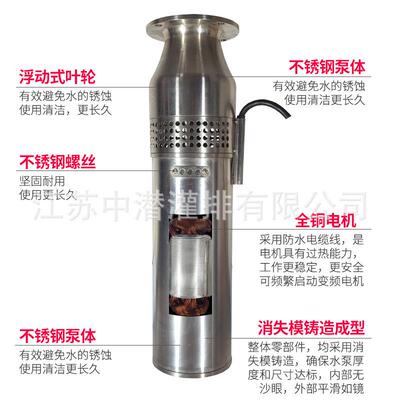 QSP水浸式喷泉泵304不锈钢假山景观专用泵水景循环音乐喷泉潜水泵