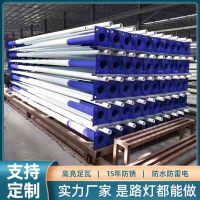 路路臂灯市政道高杆灯杆杆双厂区市电路灯直太阳能户外路TAH灯杆6