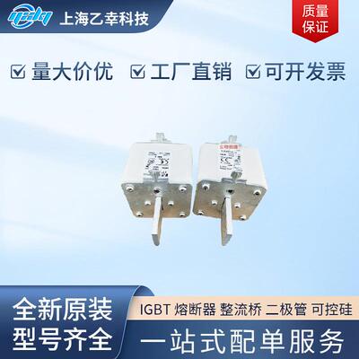 巴斯曼熔断器 170M6943 170M6944 170M6945 170M6946 170M6947