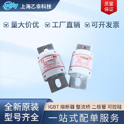 法国熔断器PC30UD69V50A F301926 PC30UD69V63A E300108