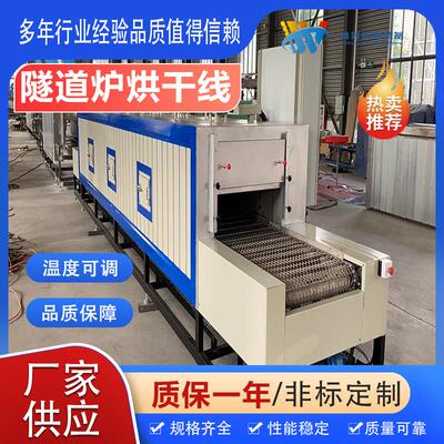 隧道炉隧道烘干线网带可选择隧道炉热风循环隧道炉烘干固化烘烤炉