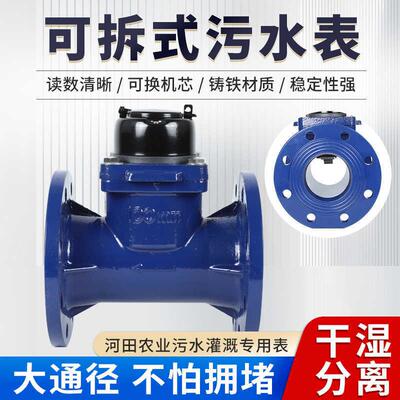 工业污水表灌溉可拆干式冷水表大通径不拥堵污水法兰水表干式可拆