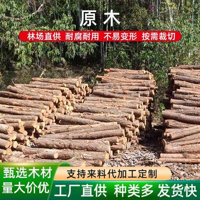 佛山厂家大型建筑工地生态松木铁杉木原木工程打桩木松木桩