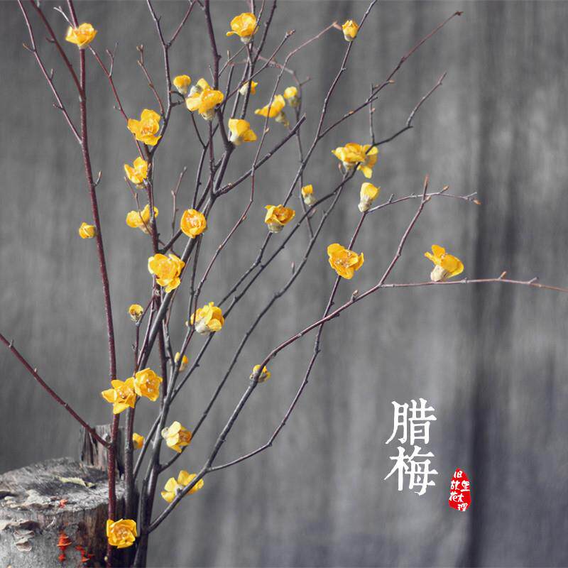 腊梅干花花束手工植物客厅书房电视柜艺术家居样板房插花干树枝