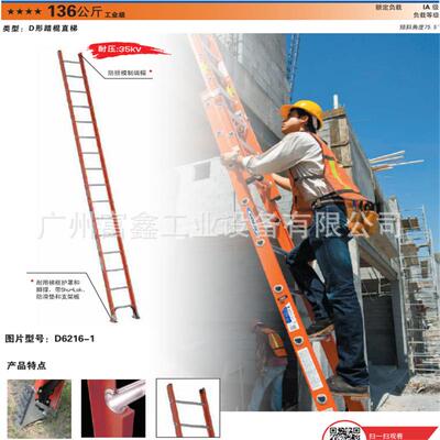 美国WERNER稳耐工业级D形踏棍直梯:D6228-2