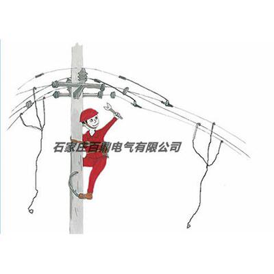 鼎百4004SNHv接地线带绝缘手柄高压接地线线携带型短路接地00v