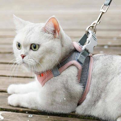 Breathable Cat Harness Leash Escape Proof Pet Clothes vest