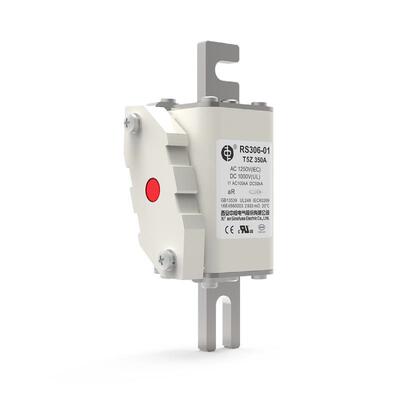 RS306-000LN 80A 100A 110A 125A 160A 200A 225A西安中熔熔断器