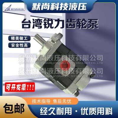 REXPOWER锐力叉车液压泵SGP2A-F16/F20/F25/F32/F36/F40齿轮泵