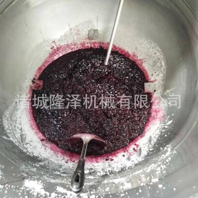 蓝靛果真空浸糖罐真空渗糖锅多功能果脯蜜饯真空浸渗设备