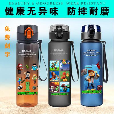 MC我的世界水杯游戏Roblox直饮儿童水壶耐热中小学生水杯夏季男孩