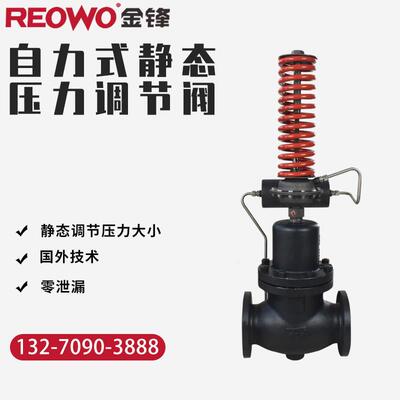 铸钢自力式压力调节阀V230DV231D压力差压调节阀DN20DN25DN300
