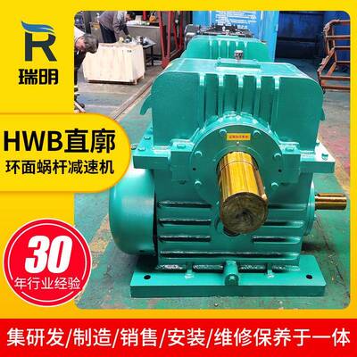 HWT250280直廓环面蜗杆减速机直线蜗杆齿廓HW型环面蜗杆减速器