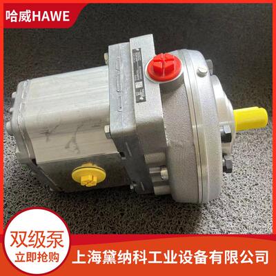 哈威RZ 1,6/2-24-V 3,0双级泵经销德国HAWE柱塞泵+齿轮泵供应