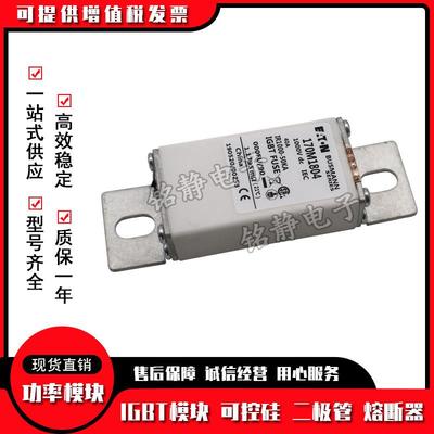 170M1760 170M1761 170M1762 170M1770 170M1771巴斯曼熔断器现货
