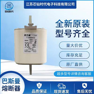 170M8635170M8636170M8637巴斯曼BUSSMANN熔断器保险丝