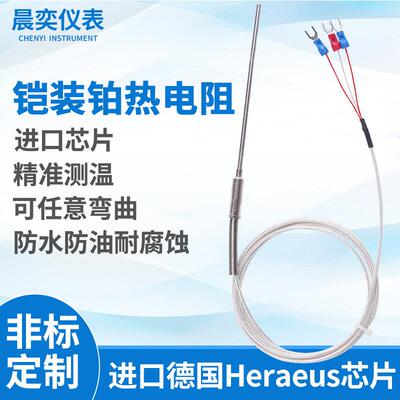 铠装铂热电阻WZPK-191温度探头PT100探针式PT1000高温温度传感器