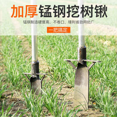 挖树铲全钢加厚移苗器户外挖深坑挖洞铲子开刃铁锹洛阳铲农用工具