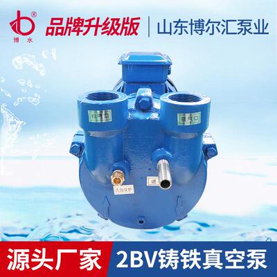 环真空B泵2V2060水式真空泵2BV铸铁真空HYS抽气泵机电淄设备博厂