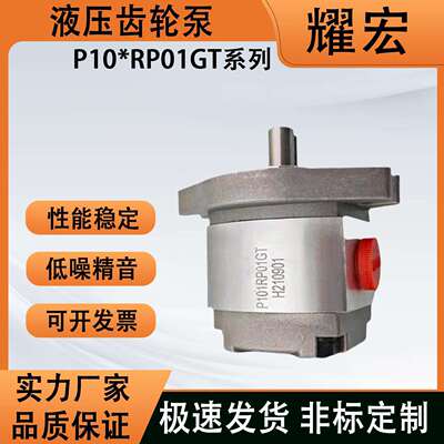P10系列高压齿轮泵油泵P105/P104液压油泵P107/P108RP01GT 装载机