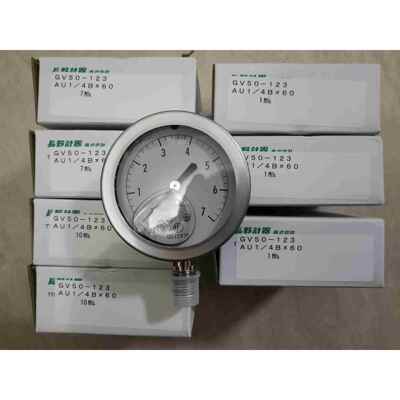 长野压力表，NKSGV-123