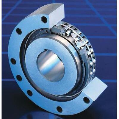 上海现货 RINGSPANN 逆止器 超越离合器 FXM80 FXM100 FXM140