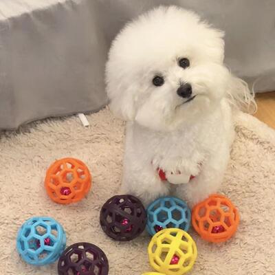 Small Dog Toy Ball - Hollow TPR Elastic Squeaky Ball with Be