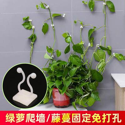 Green vine climbing tool, wall-mounted green plant fixator,
