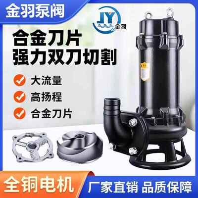 65JYQ2528605-W4自污动搅匀无堵塞潜水排泵河塘鱼池工地-清淤