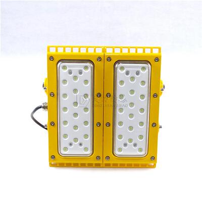 led免维护防爆灯50w60w80w100w120w防水防尘节能防爆投光灯高亮度