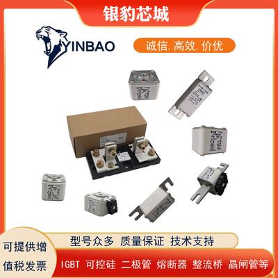 10NHG000B-690 16NHG000B-690 20NHG000B-690巴斯曼熔断器现货
