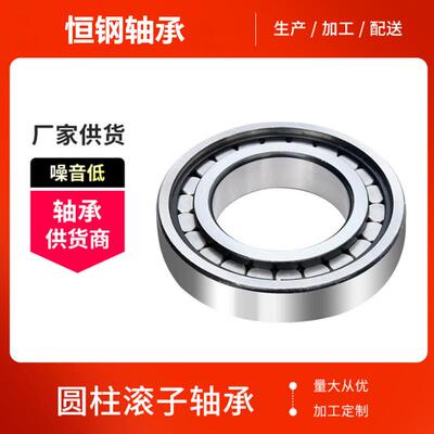 密封双列满装圆柱滚子轴承 SL04 5005PPNNF5005ADA-2LSV
