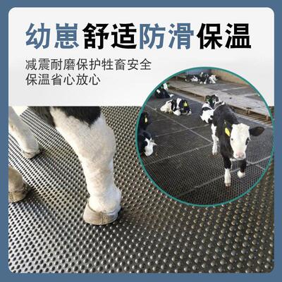 牛胶栏铺板地防滑橡垫耐牛棚猪舍胶垫圆磨点减震橡CPX胶畜牧垫