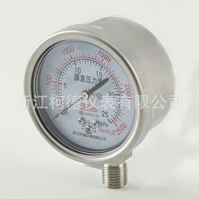 柯德仪表 不锈钢YE-60BF型 膜盒压力表
