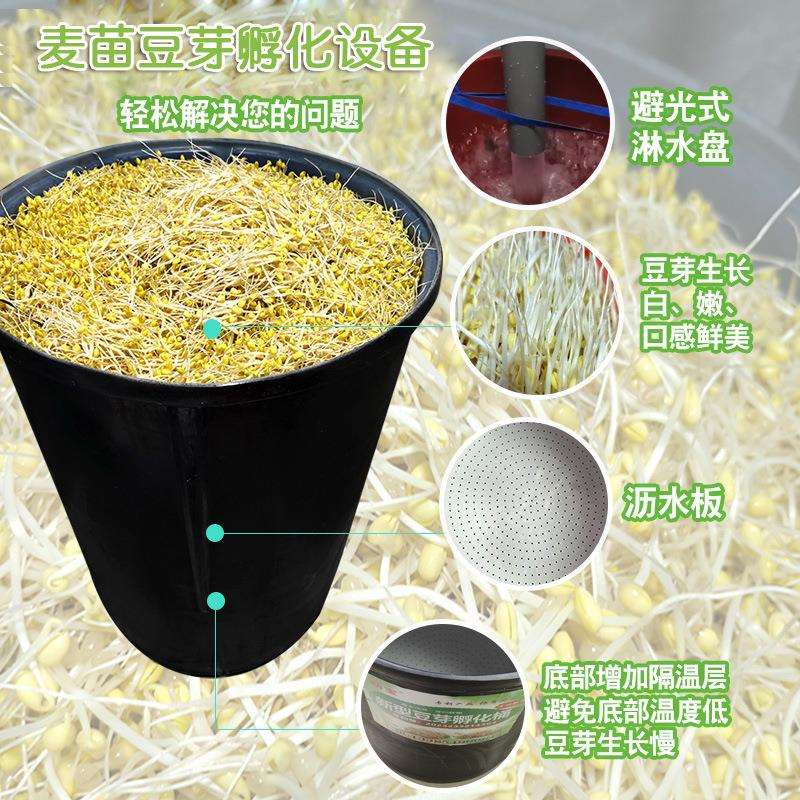 全自动一体机豆芽桶食用豆芽发芽机器桶出口欧盟商用豆芽桶
