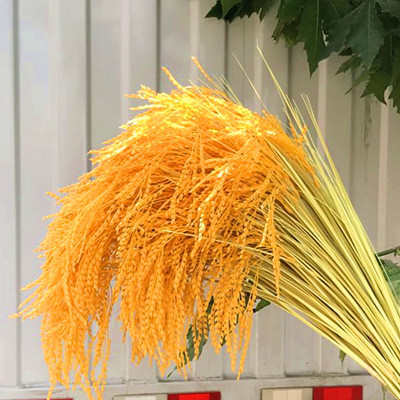 布景婚庆稻谷稻穗跳舞稻子装饰假黄麦穗塑料金黄花花道具水稻