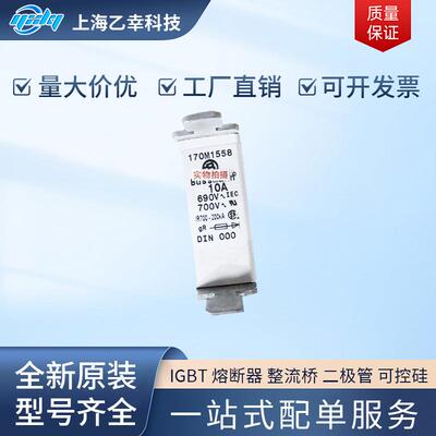巴斯曼产品 170M1563D 170M1564D 170M1565D 170M1566D 170M1567D