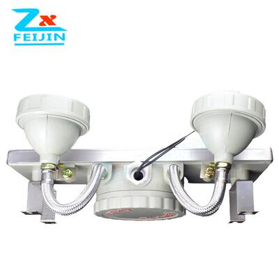 防爆双头应急灯 2C级 CT6 防爆应急灯 不锈钢材质 BCJ