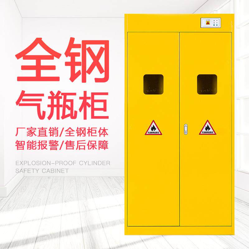 全钢气瓶柜报警气瓶柜钢瓶柜全钢气瓶防爆柜气瓶存放柜实验安全柜
