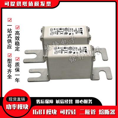170M1363 170M1364 170M1365 170M1366巴斯曼熔断器现货170M1367