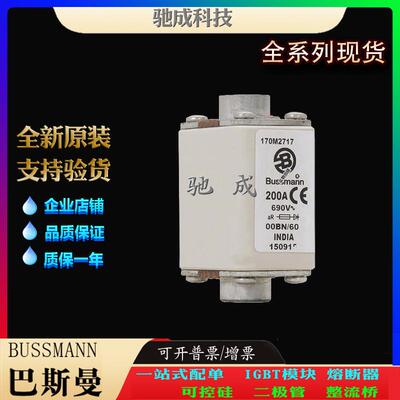 巴斯曼170M2717 170M2718 170M2719 厂家原装优价供应 原装熔断器